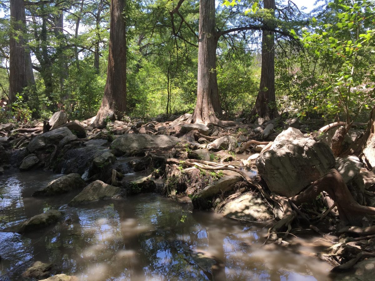 Here is Every Reason You Need to go to Austin this Weekend